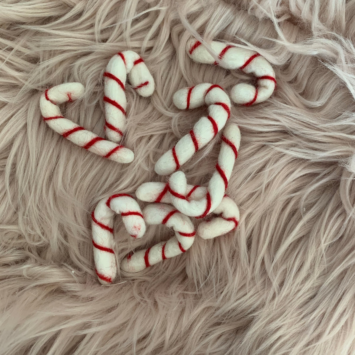 The White Candy Cane Bunch – The Magical Christmas Co.